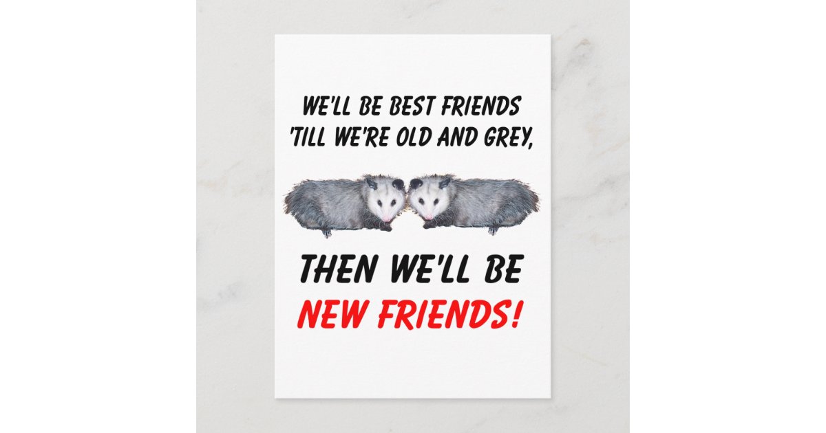 New Old Friends with Possums Postcard | Zazzle