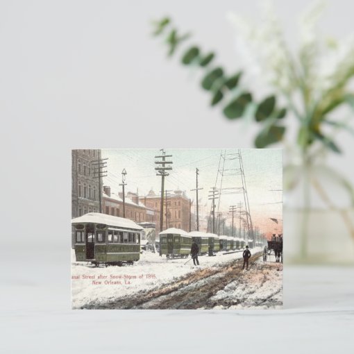 New Orleans Canal St Snow 1895 Postcard | Zazzle