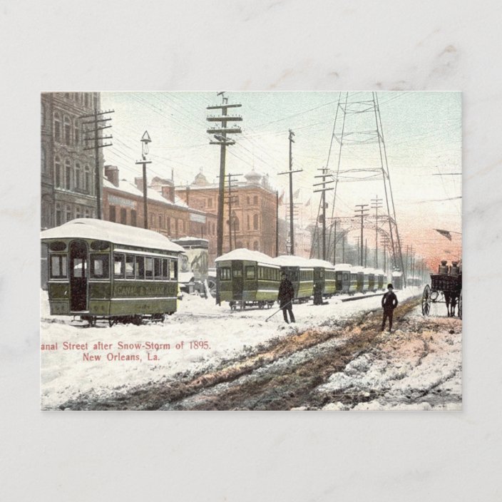 New Orleans Canal St Snow 1895 Postcard | Zazzle