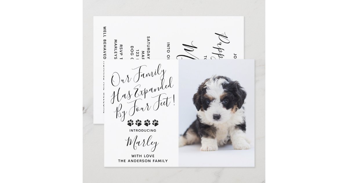 New Pet Dog Puppy Shower Invitation | Zazzle