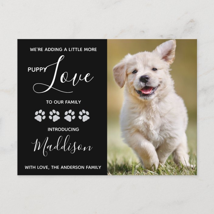 New Pet Puppy Announcement Postcard | Zazzle.com
