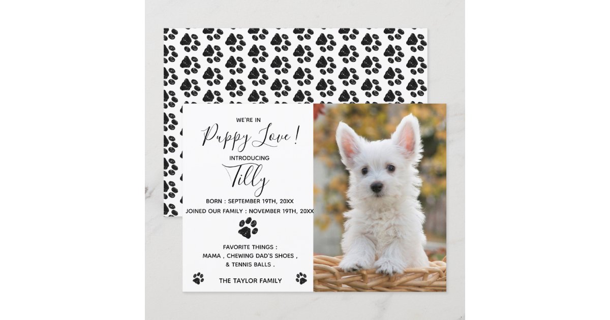 New Pet Puppy Dog Announcement | Zazzle