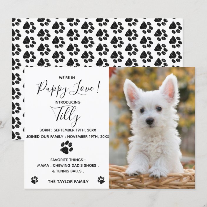 New Pet Puppy Dog Announcement | Zazzle.com