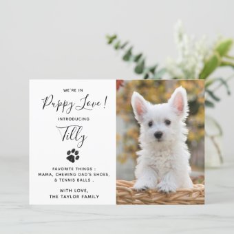 New Pet Puppy Dog Announcement | Zazzle