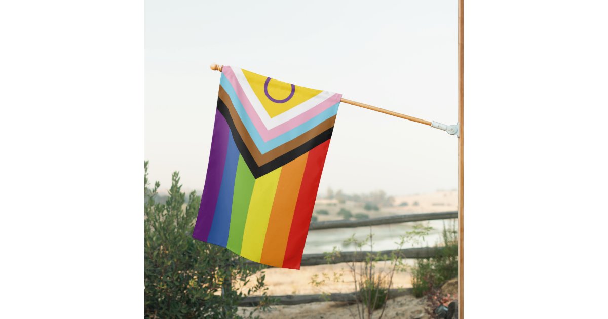 New Progress Pride Flag LGBTQIA Parade Celebration | Zazzle