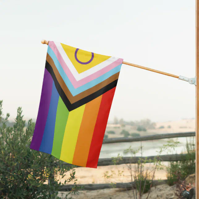 New Progress Pride Flag LGBTQIA Parade Celebration | Zazzle