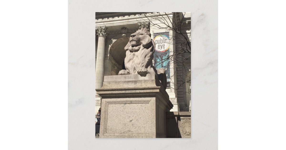 New York City NYC Public Library Lion Statue Postcard | Zazzle