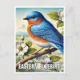 New York State Bird Eastern Bluebird Postcard | Zazzle