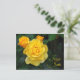 New York State Flower: Rose Postcard | Zazzle