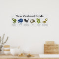New Zealand birds poster | Zazzle