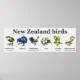 New Zealand birds poster | Zazzle