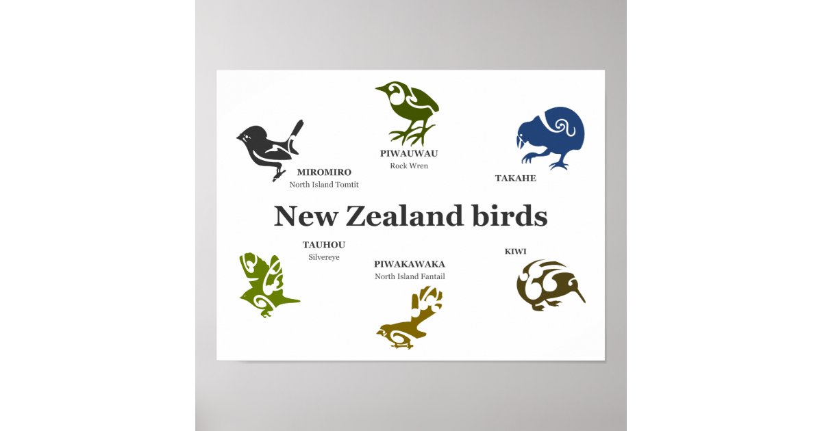 New Zealand Birds poster | Zazzle