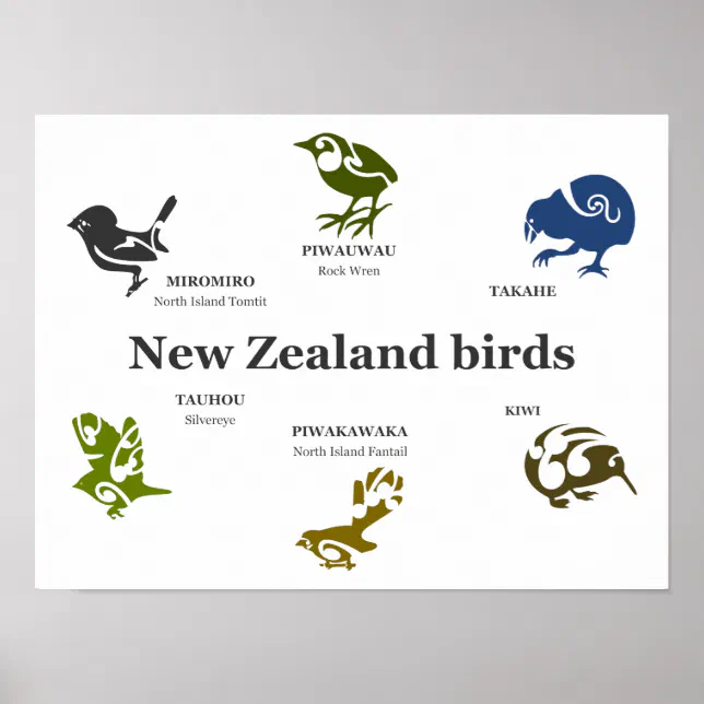 New Zealand Birds poster | Zazzle