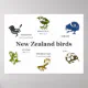 New Zealand Birds poster | Zazzle
