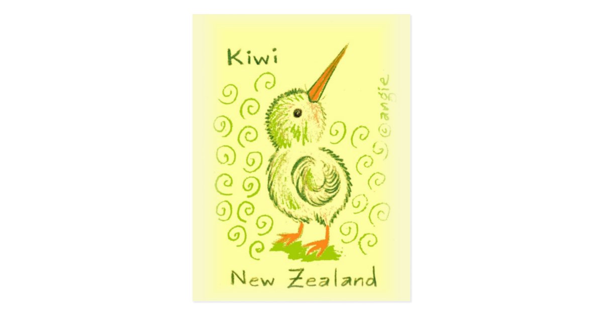 New Zealand Kiwi Bird Postcard | Zazzle.com