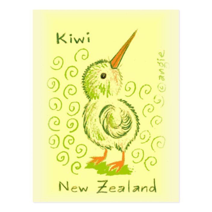 New Zealand Kiwi Bird Postcard | Zazzle.com