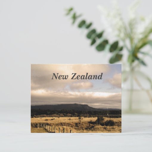 New Zealand Postcard | Zazzle