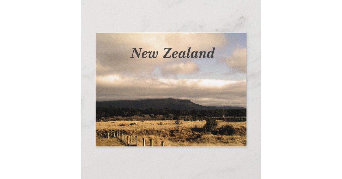 New Zealand Postcard | Zazzle