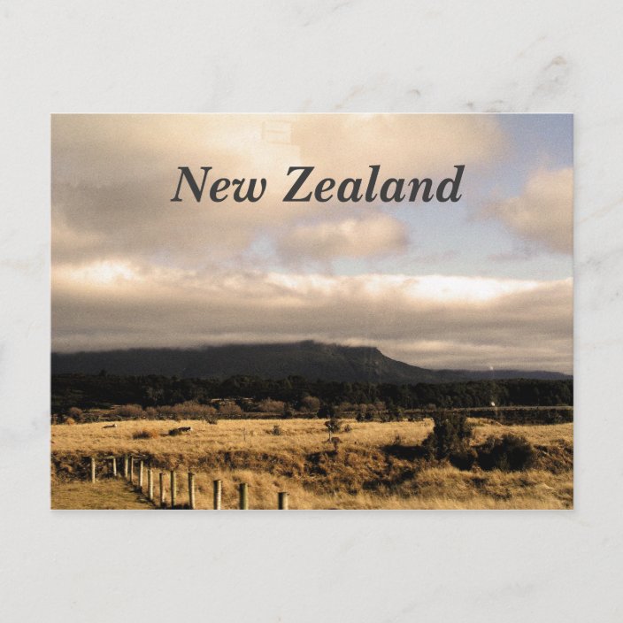 New Zealand Postcard | Zazzle.com