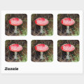 New Zealand, Rotorua, Taupo Volcanic Zone Square Sticker | Zazzle