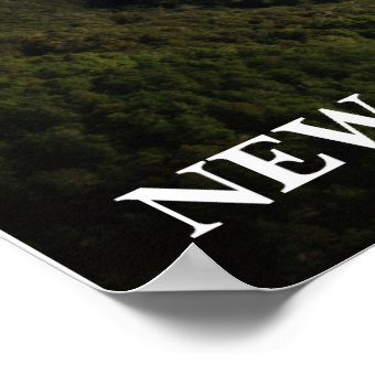 NEW ZEALAND, WHY NOT? POSTER | Zazzle