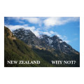 NEW ZEALAND, WHY NOT? POSTER | Zazzle