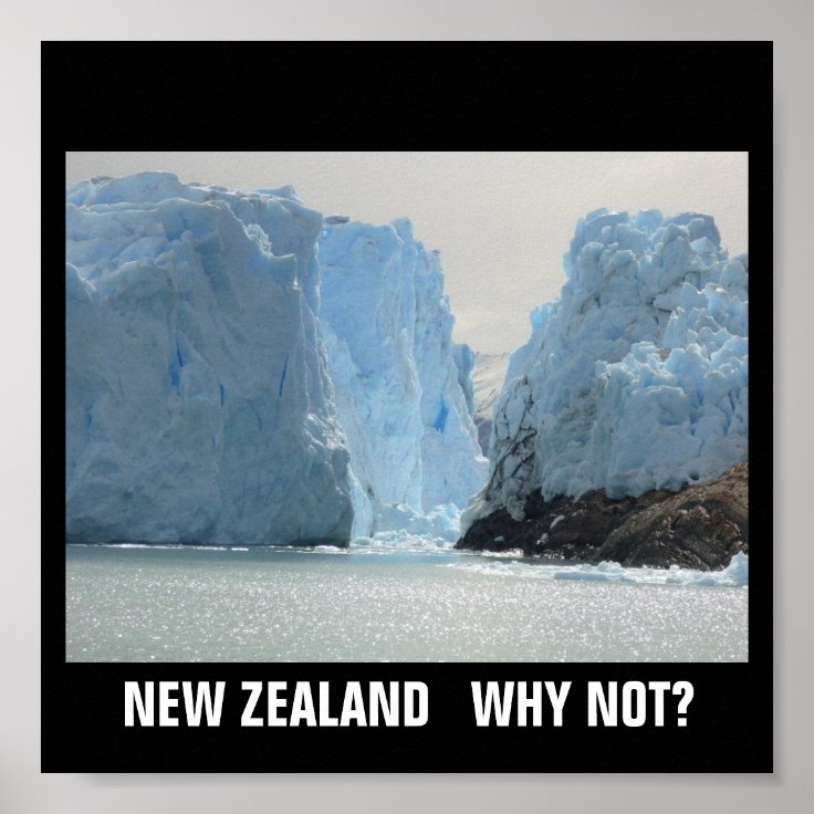 NEW ZEALAND WHY NOT? POSTER | Zazzle