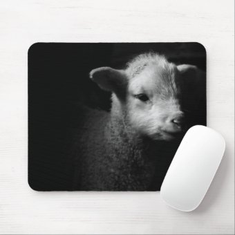 Newborn Lamb Mouse Pad | Zazzle