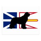 Newfoundland Dog with Flag Postcard | Zazzle.com
