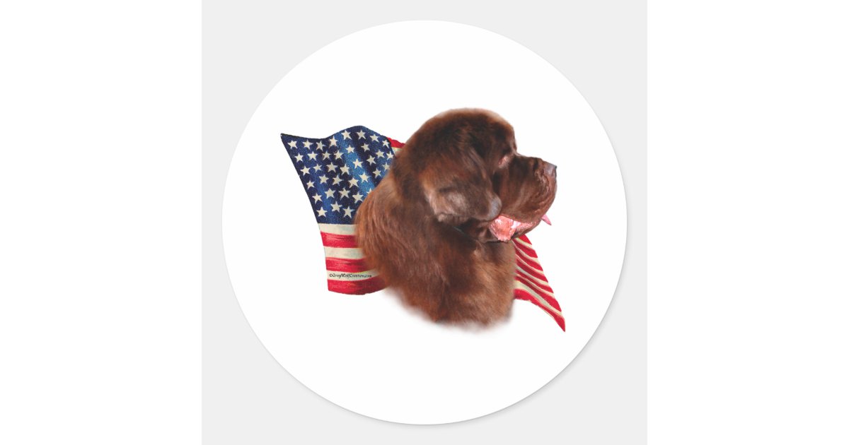 Newfoundland (brown) Flag Classic Round Sticker | Zazzle