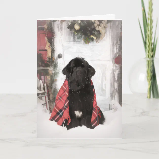 Newfoundland Christmas Card | Zazzle