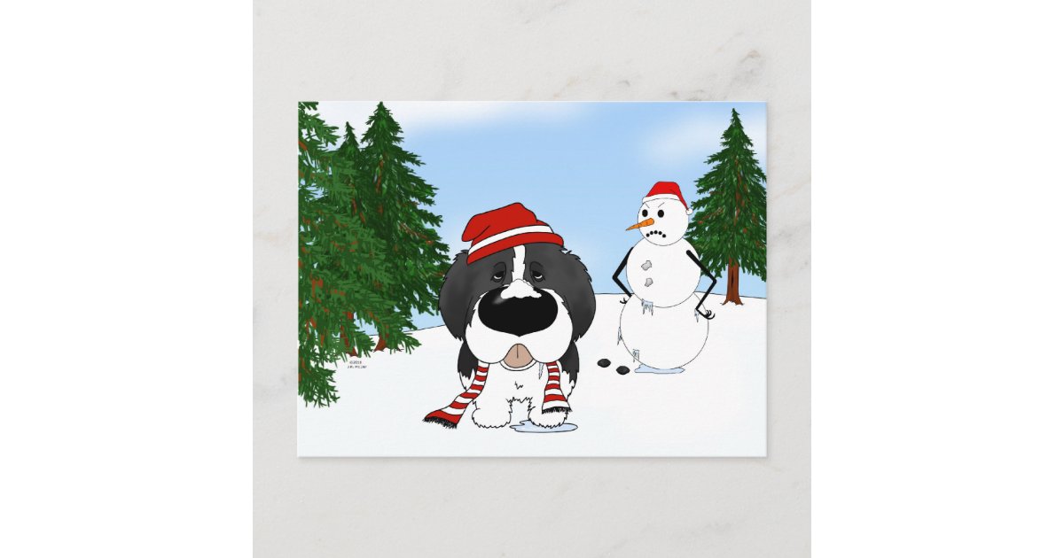 Newfoundland Christmas Holiday Postcard | Zazzle