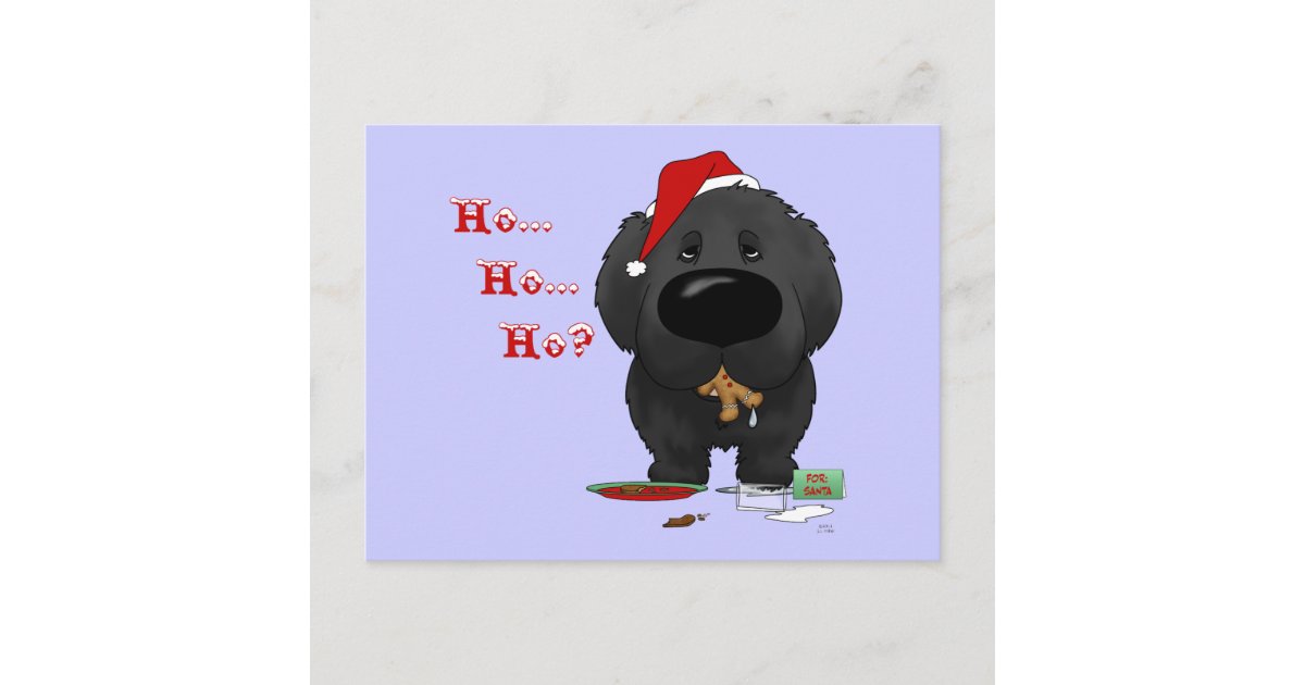 Newfoundland Christmas Holiday Postcard | Zazzle