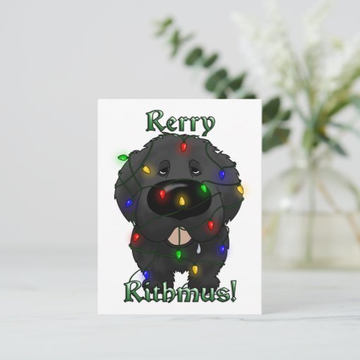 Newfoundland Christmas Lights Holiday Postcard | Zazzle