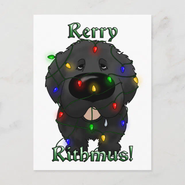 Newfoundland Christmas Lights Holiday Postcard | Zazzle