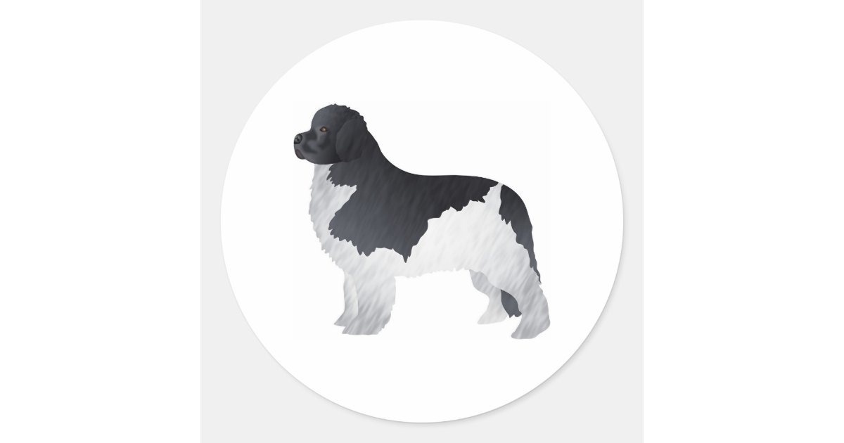 Newfoundland Classic Round Sticker | Zazzle