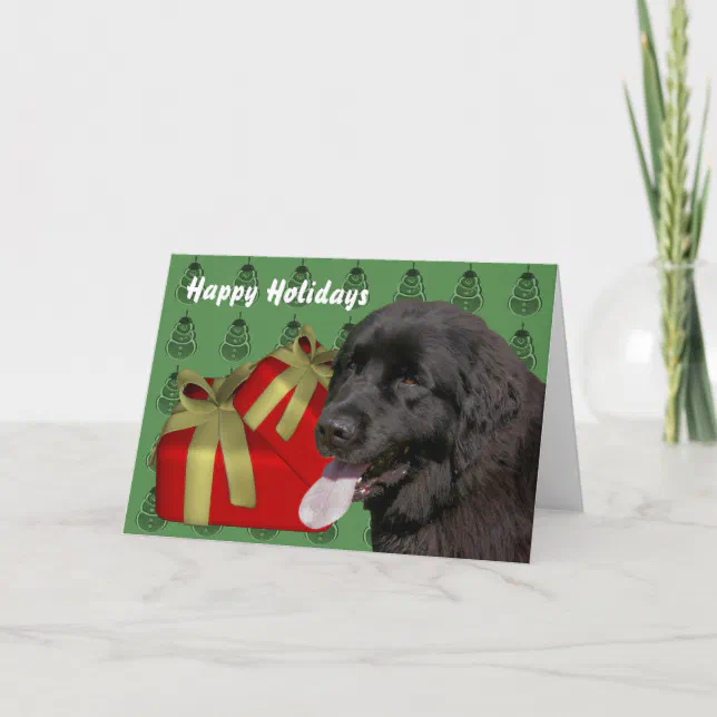 Newfoundland Dog Christmas Holiday Card | Zazzle