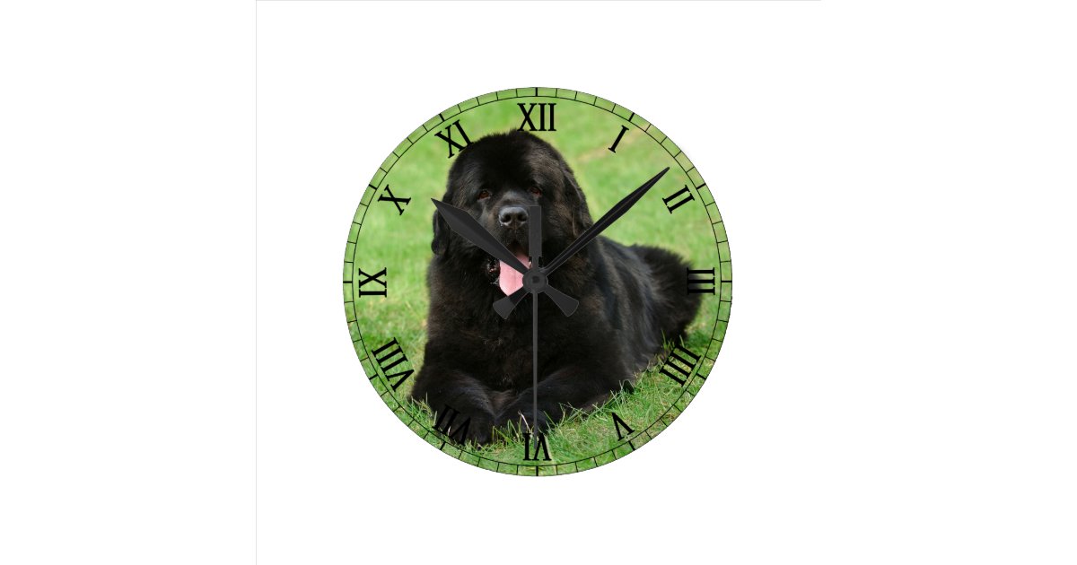 Newfoundland dog round clock | Zazzle.com