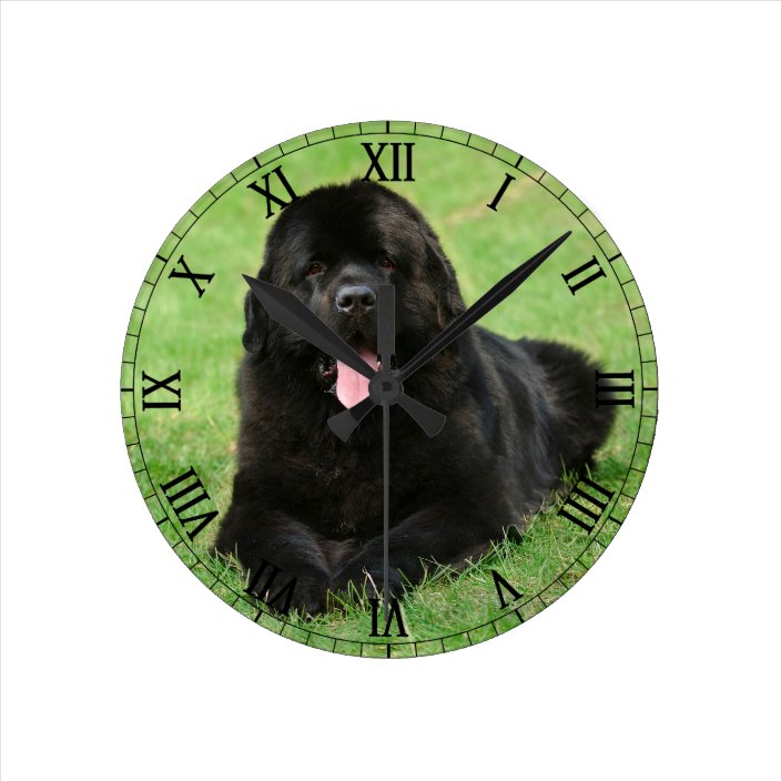 Newfoundland dog round clock | Zazzle.com