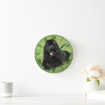 Newfoundland dog round clock | Zazzle