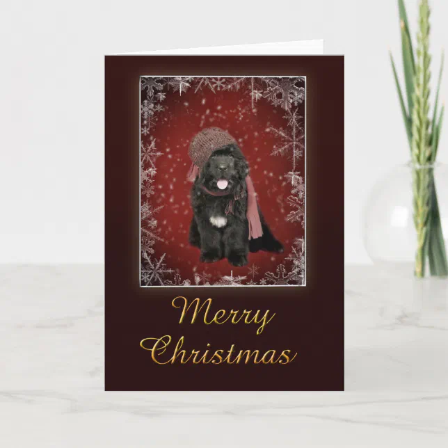 Newfoundland puppy Christmas card | Zazzle