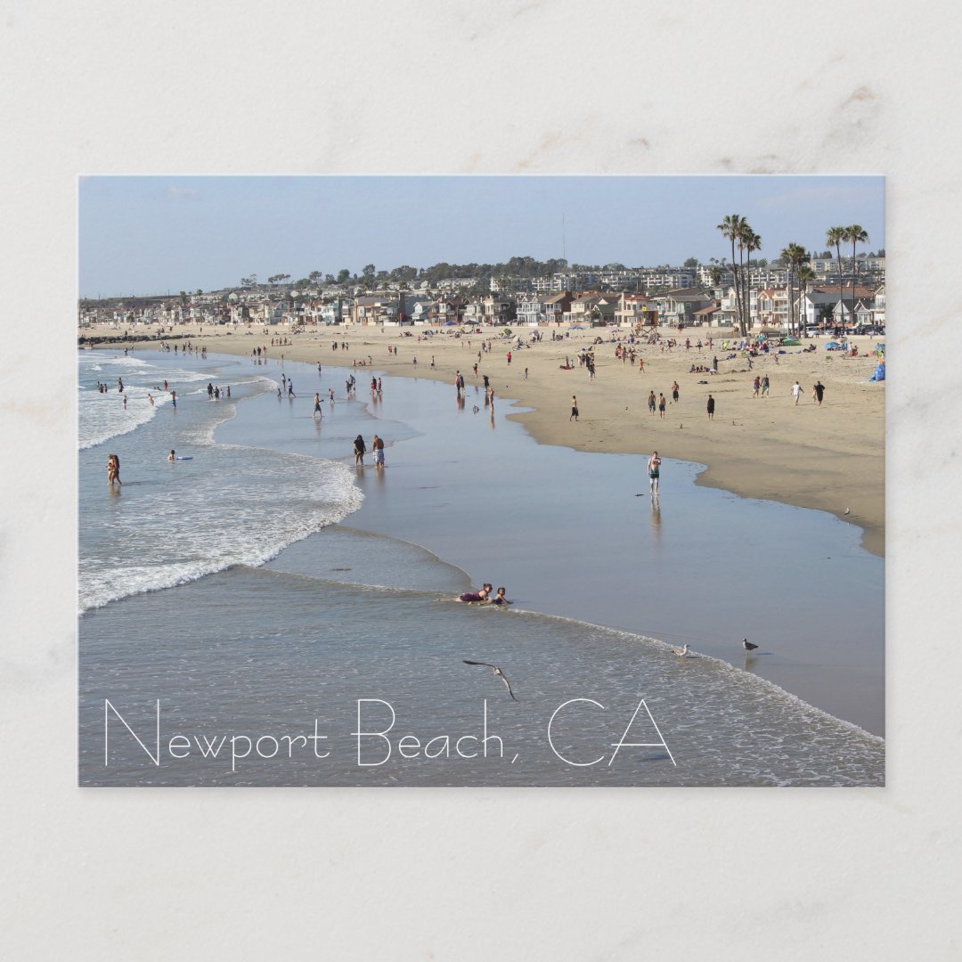 Newport Beach Postcard! Postcard | Zazzle