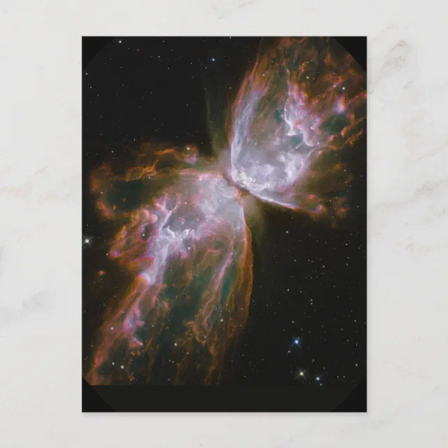 NGC 6302 Butterfly Nebula Postcard | Zazzle