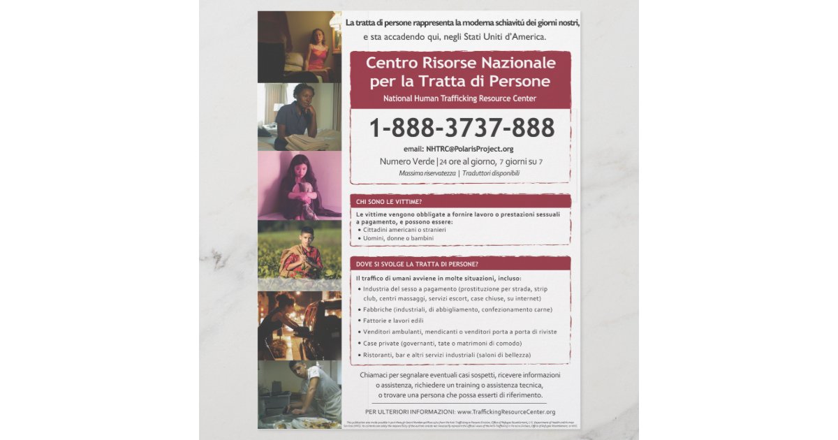 NHTRC Hotline Flyer | Zazzle