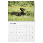 Nice Racks Wall Calendar | Zazzle