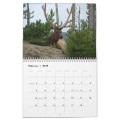 Nice Racks Wall Calendar | Zazzle