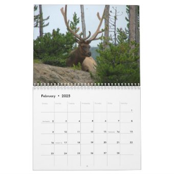 Nice Racks Wall Calendar | Zazzle
