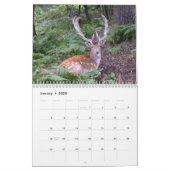Nice Racks Wall Calendar | Zazzle