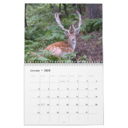 Nice Racks Wall Calendar | Zazzle
