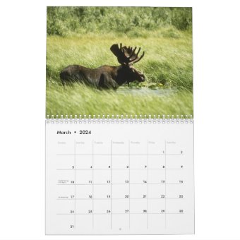 Nice Racks Wall Calendar | Zazzle